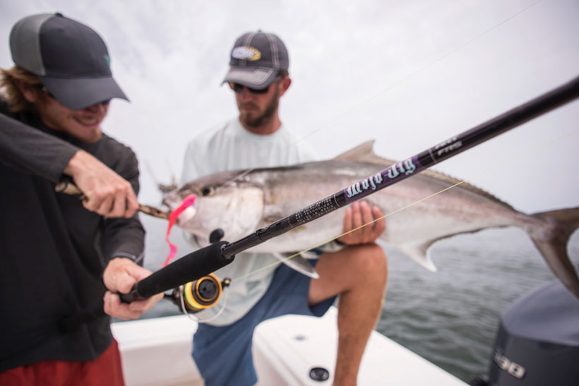 Performance and Value: St. Croix’s Mojo Family Has Summer Covered - On ...