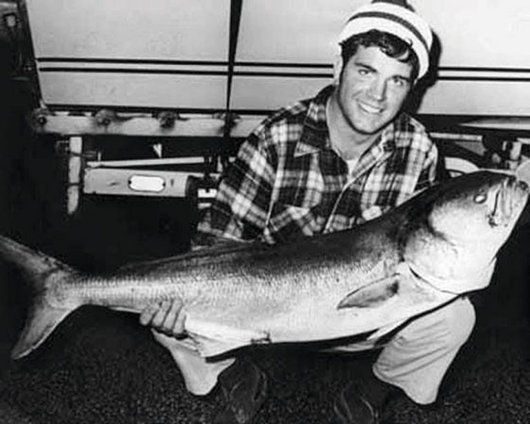 The Mysterious Lives of Bluefish - On The Water
