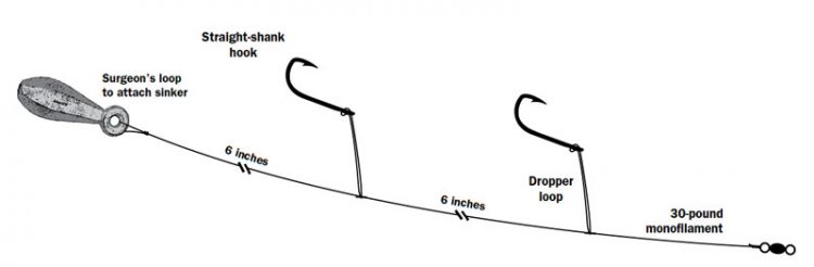 Shore Fishing for Triggerfish - On The Water