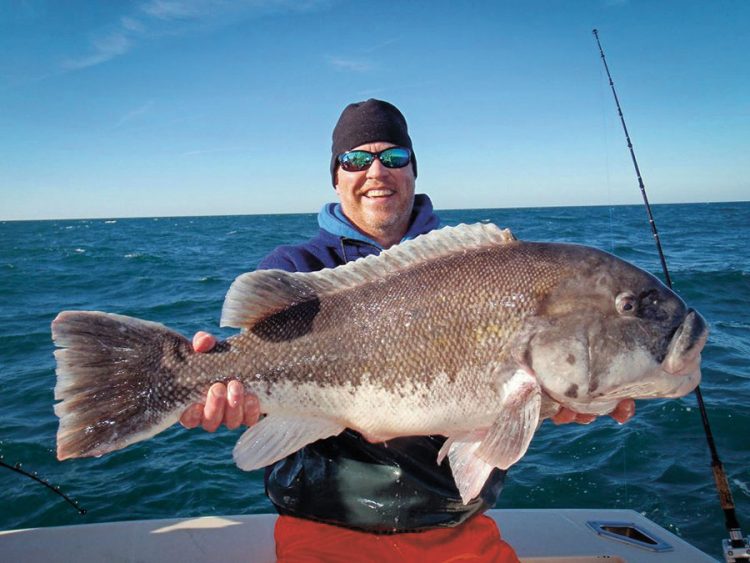 Tautog Genetic Research - On The Water