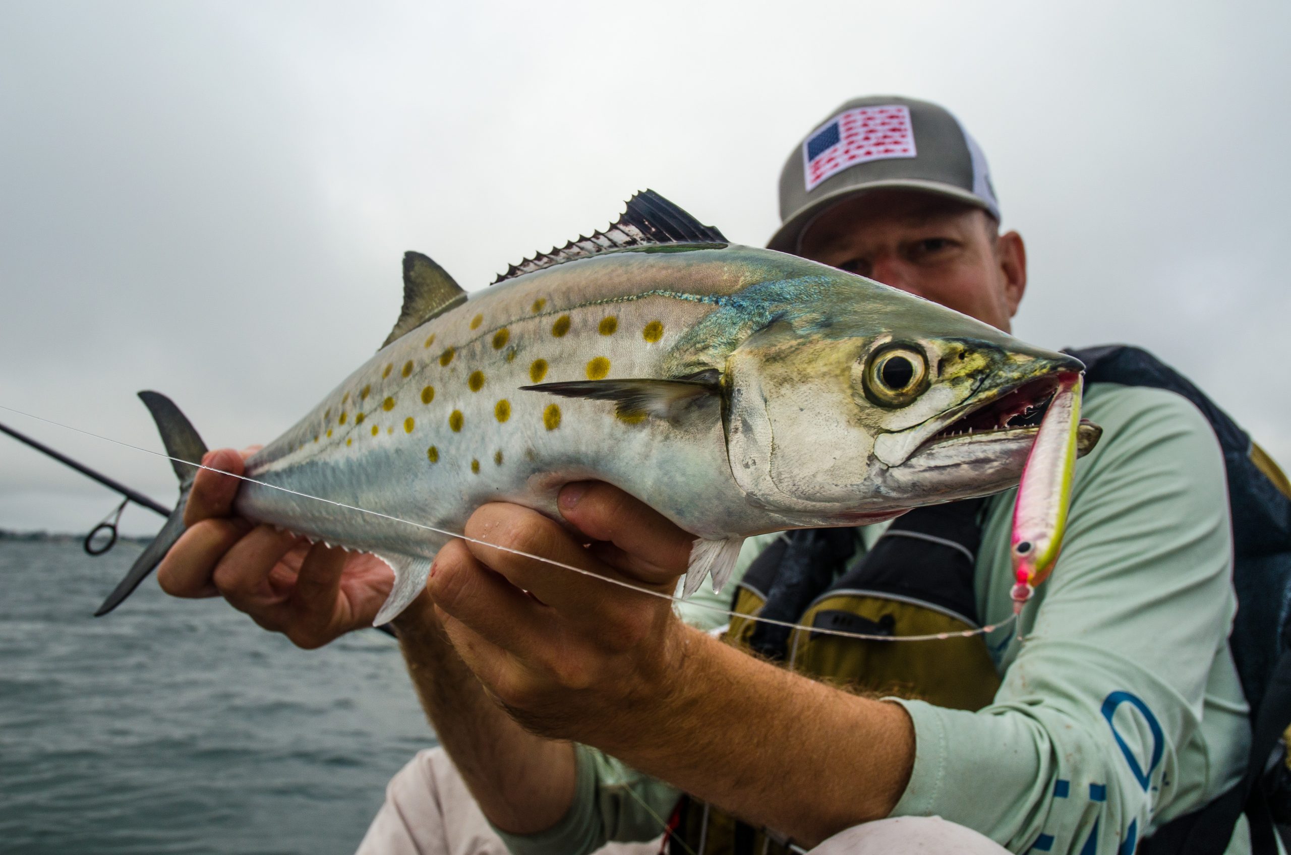 Cape Cod Fishing Report - August 27, 2020 - On The Water