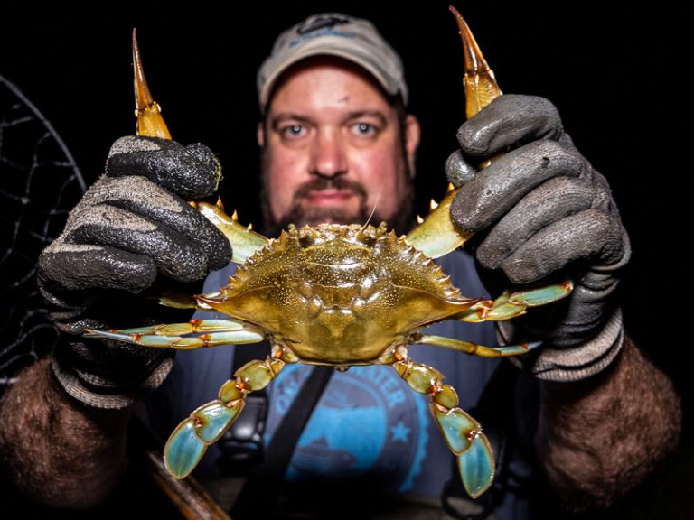 Nighttime Blue Crabbing on Cape Cod - On The Water