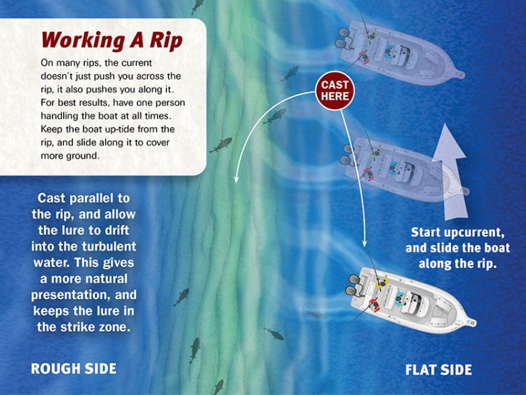 Fishing Shallow Rips - On The Water