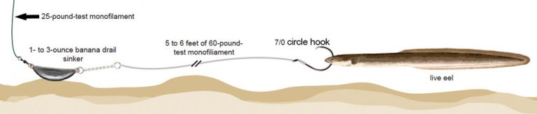 Striper Fishing: The Fall Run at Fire Island - On The Water