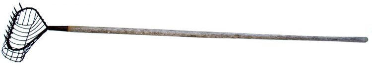 The Great Oyster Revival - On The Water