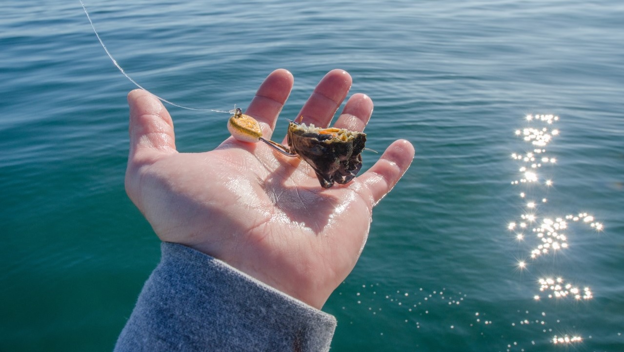 Fishing with Tautog Jigs