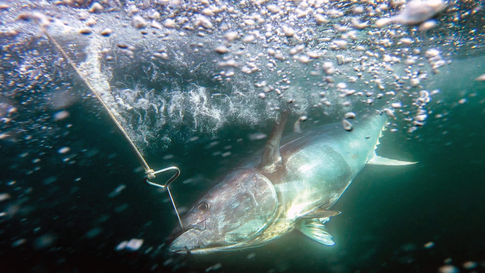 Giant Tuna | Heartbreak and Redemption - On The Water