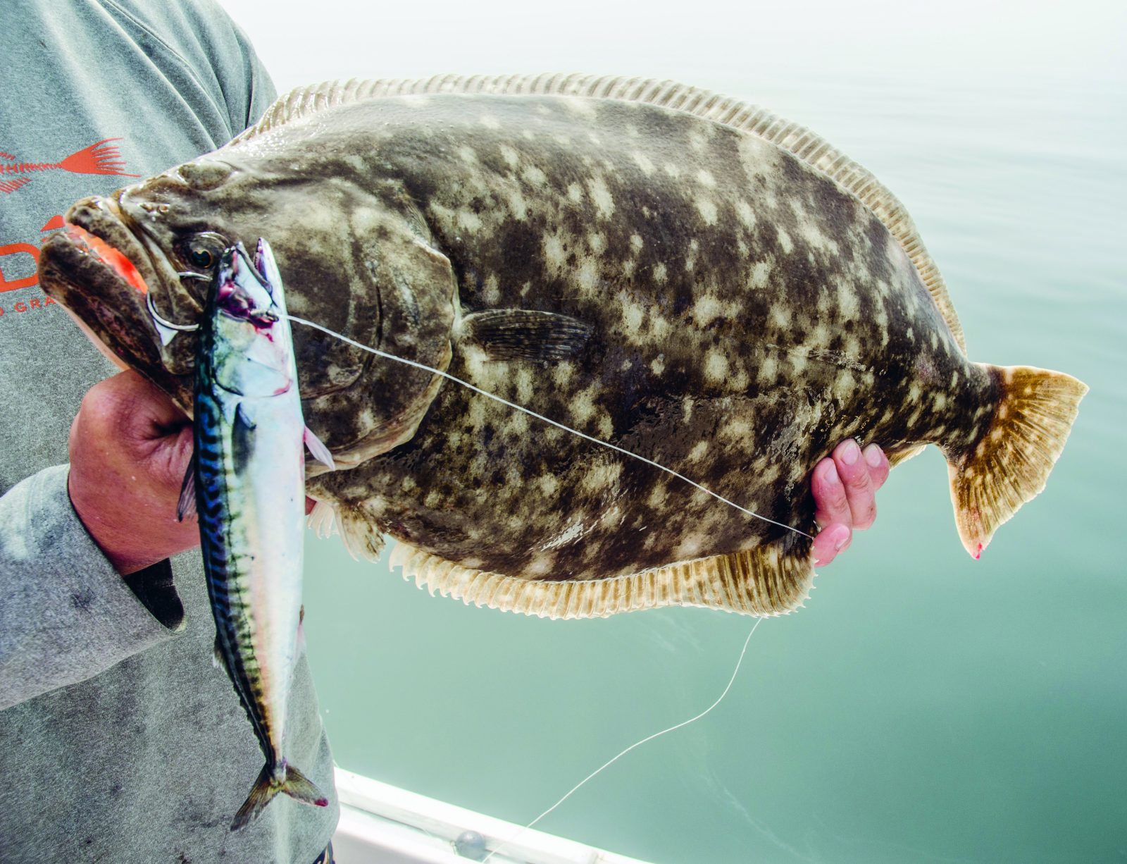 6 Places to Catch a 10-Pound Fluke | On The Water