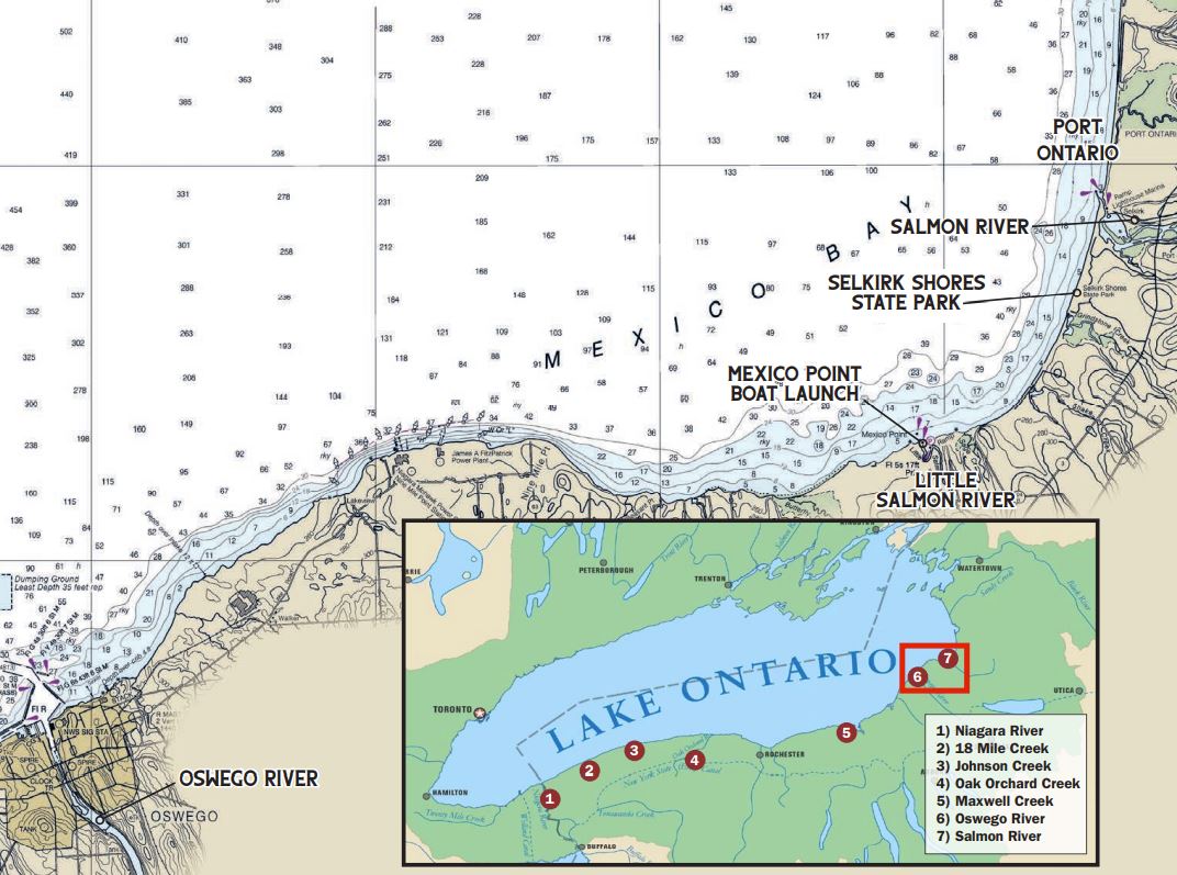 Tips to Catch Brown Trout in Upstate New York - On The Water