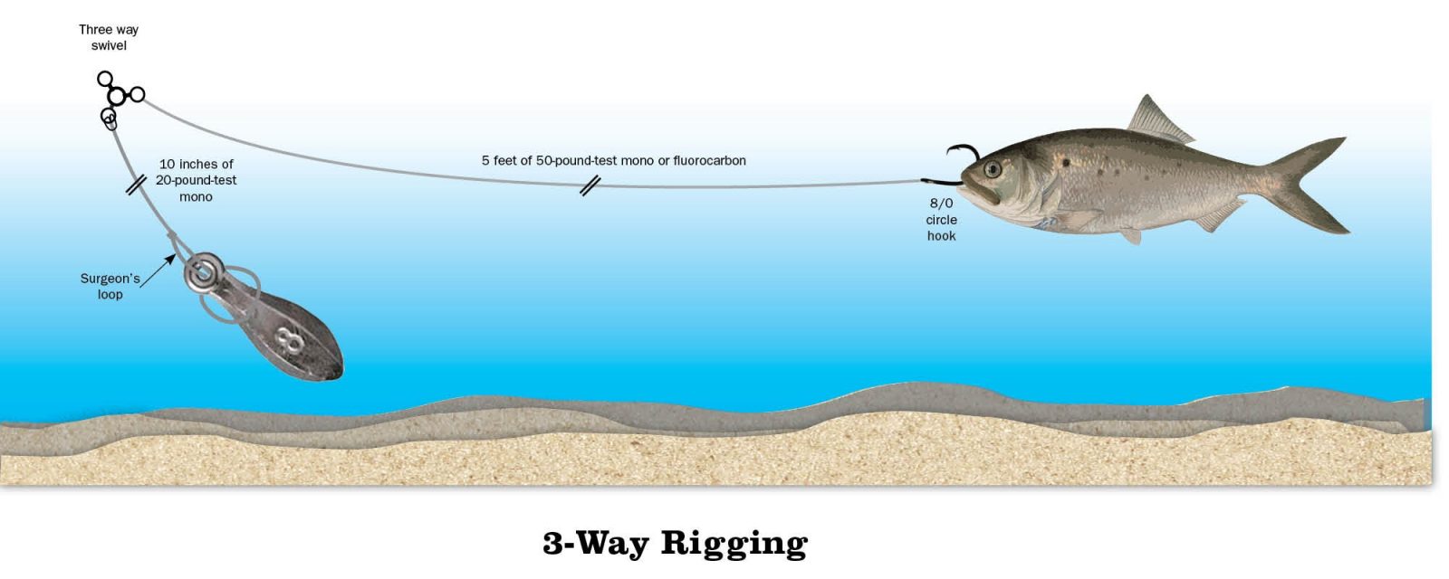 Circle Hooks for Striped Bass - On The Water