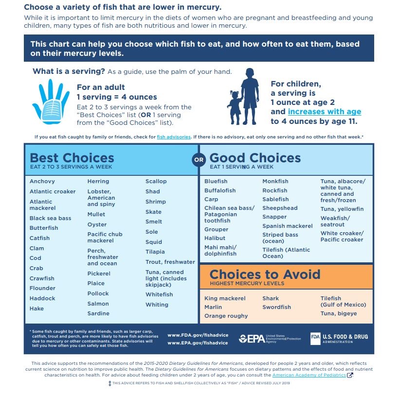 Striper Fish Facts and FAQ - On The Water