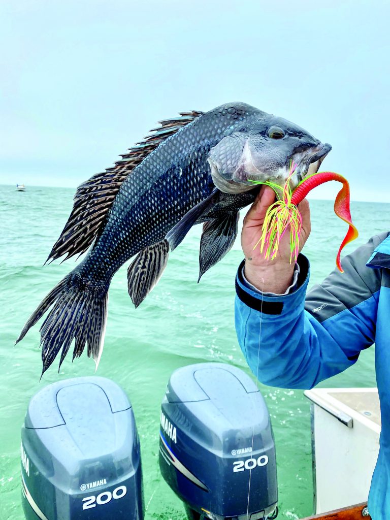 Jigging for Big Black Sea Bass - On The Water