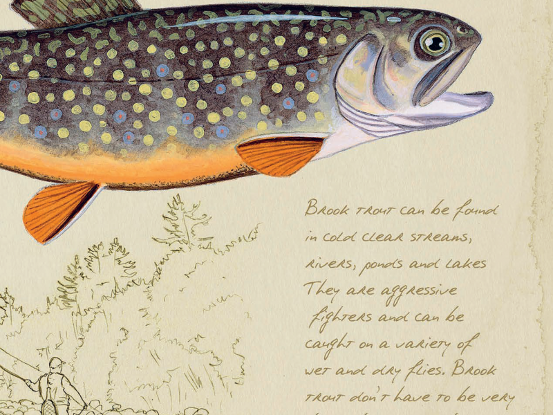 Angling Artist: Matt Patterson - On The Water