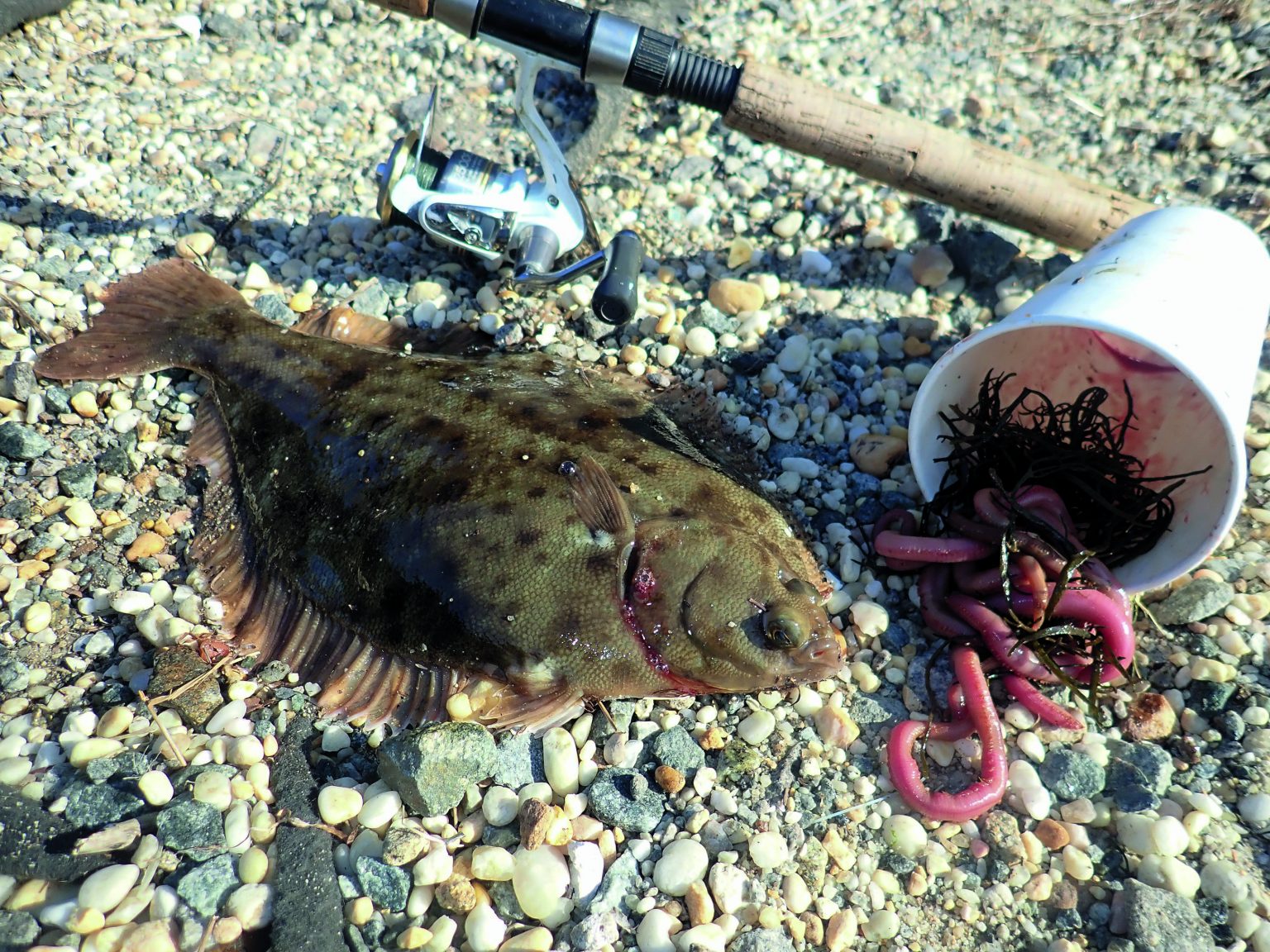 Winter Flounder Fishing in New Jersey - On The Water