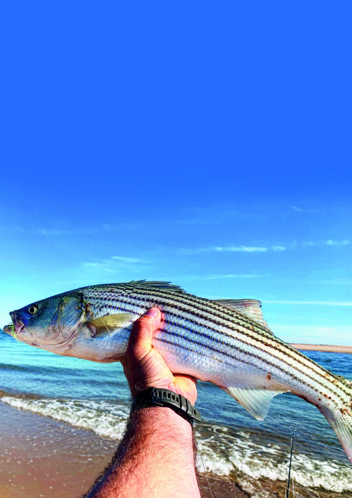 Cape Cod Fly Fishing Tips - On The Water