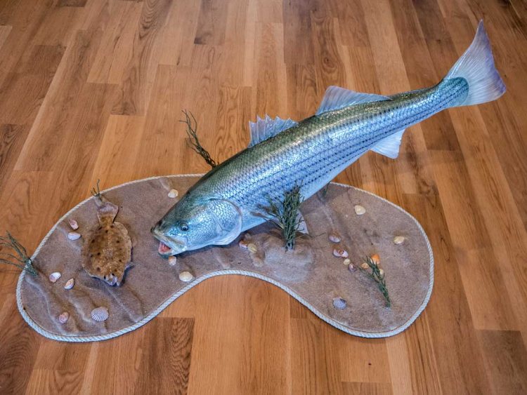 Turn Your Catch and Release Trophy Into a Work of Art - On The Water