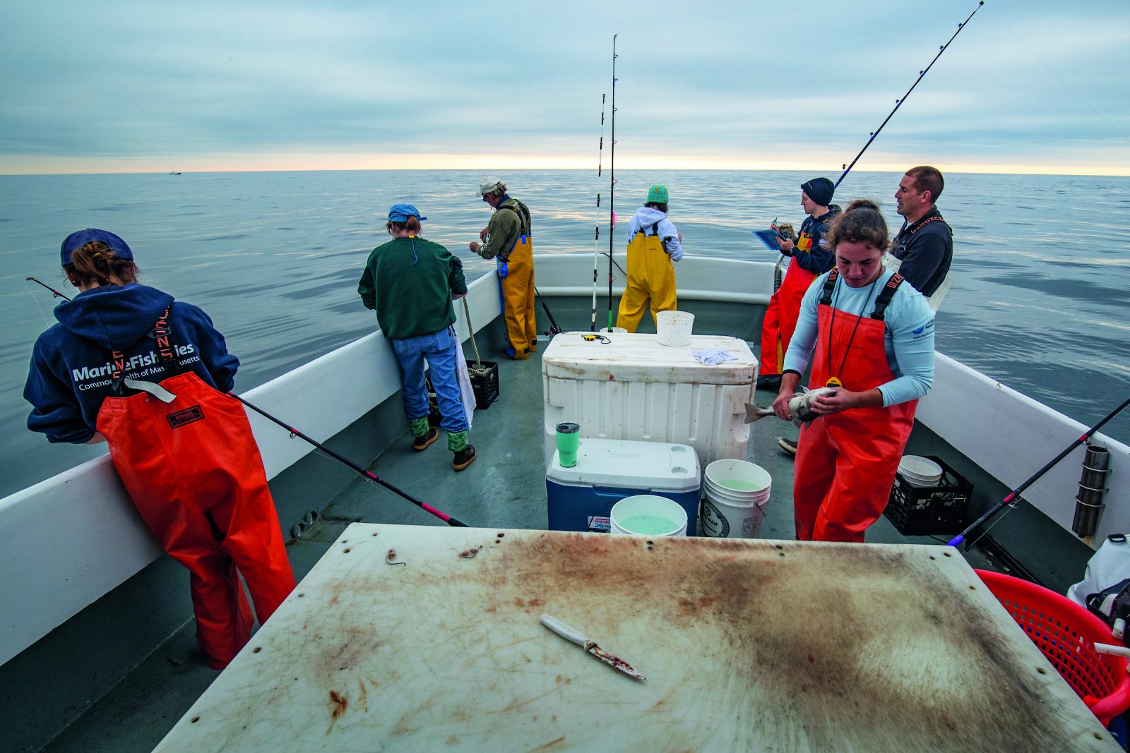 Haddock Terminal Tackle Tweaks to Reduce Cod Bycatch - On The Water