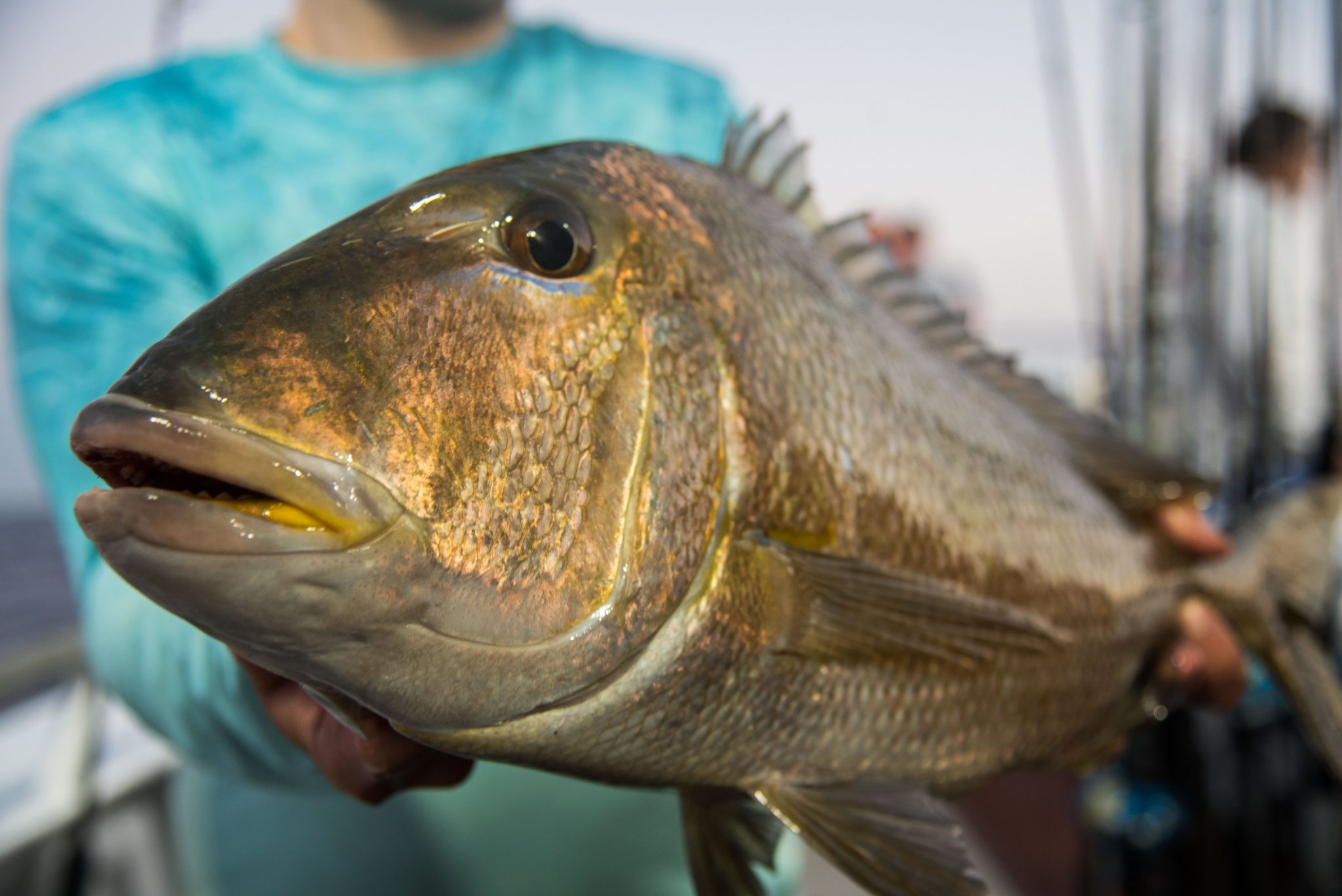 Slow-Pitch Jigging 101 - On The Water