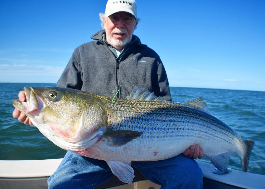 Connecticut Fishing Report – July 1, 2021 - On The Water