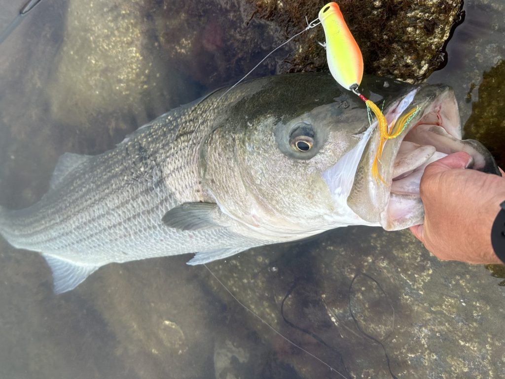 Gear Archives - On The Water