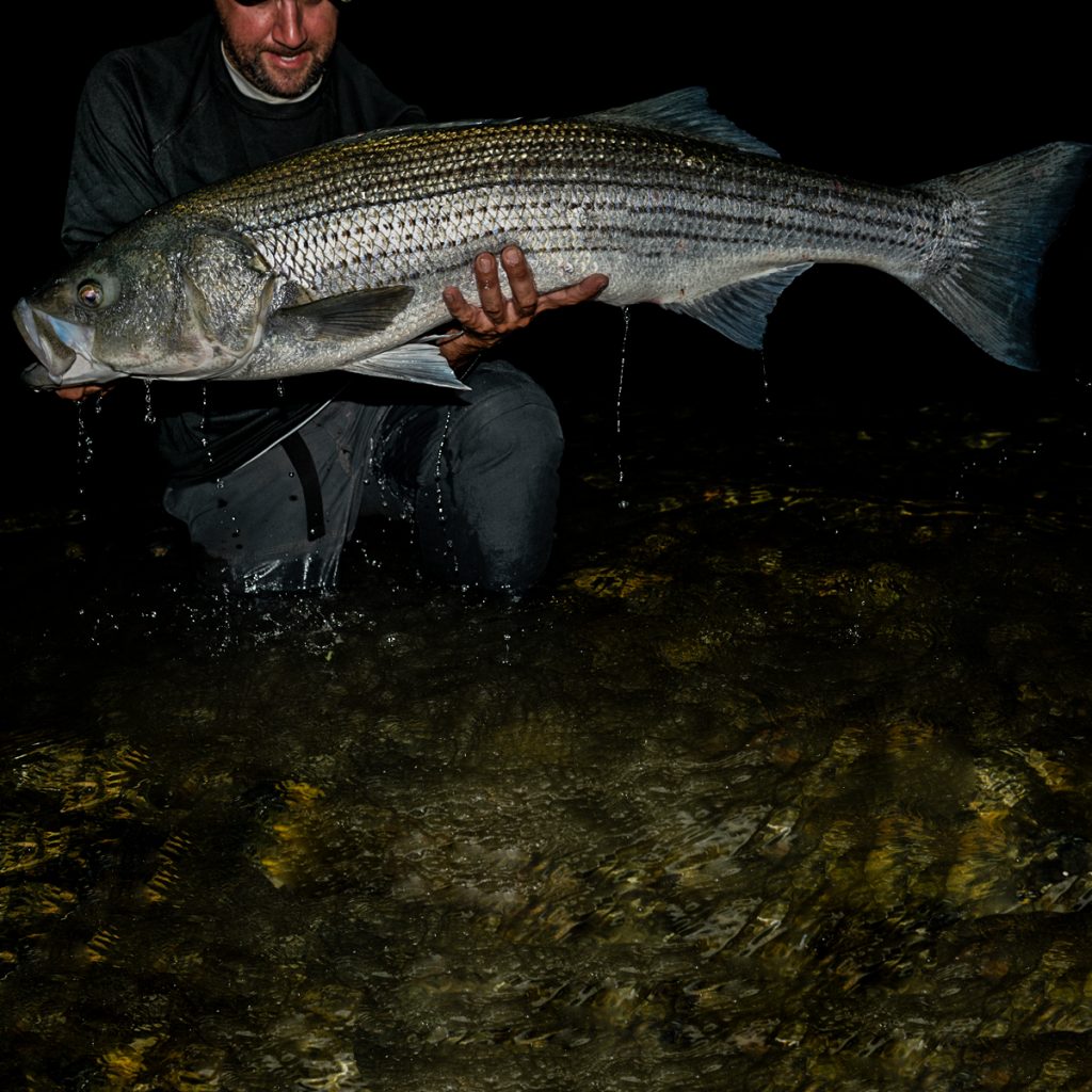 Striper Fishing Backwaters with Live Eels - On The Water
