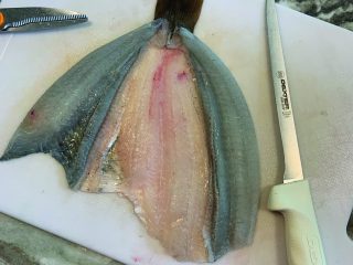 How to De-Bone a Flounder - On The Water