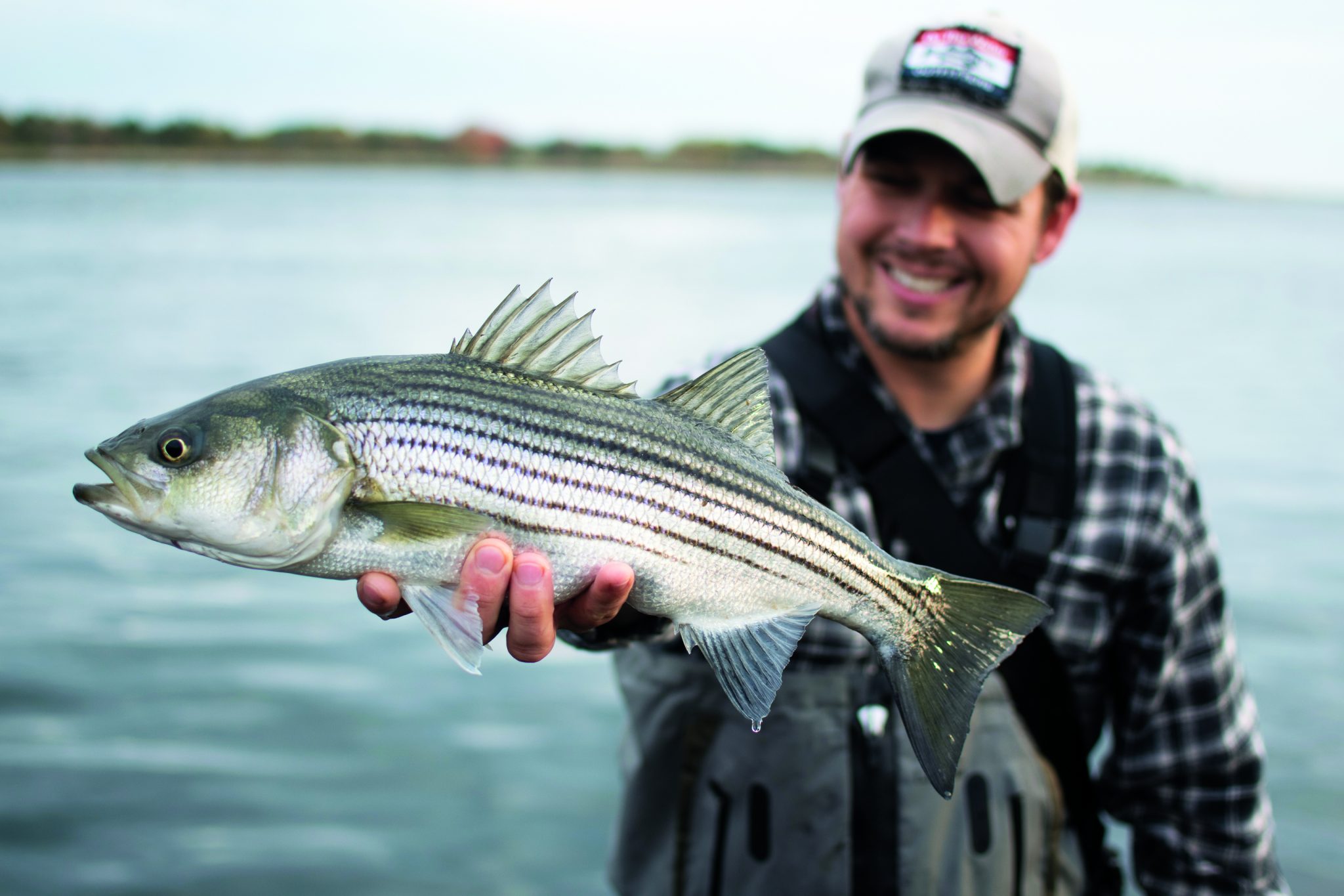 The Fall Striper Migration Road Map - On The Water