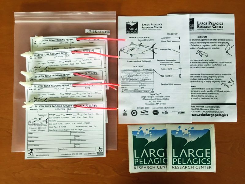 How to Tag Tuna in 6 Steps - On The Water