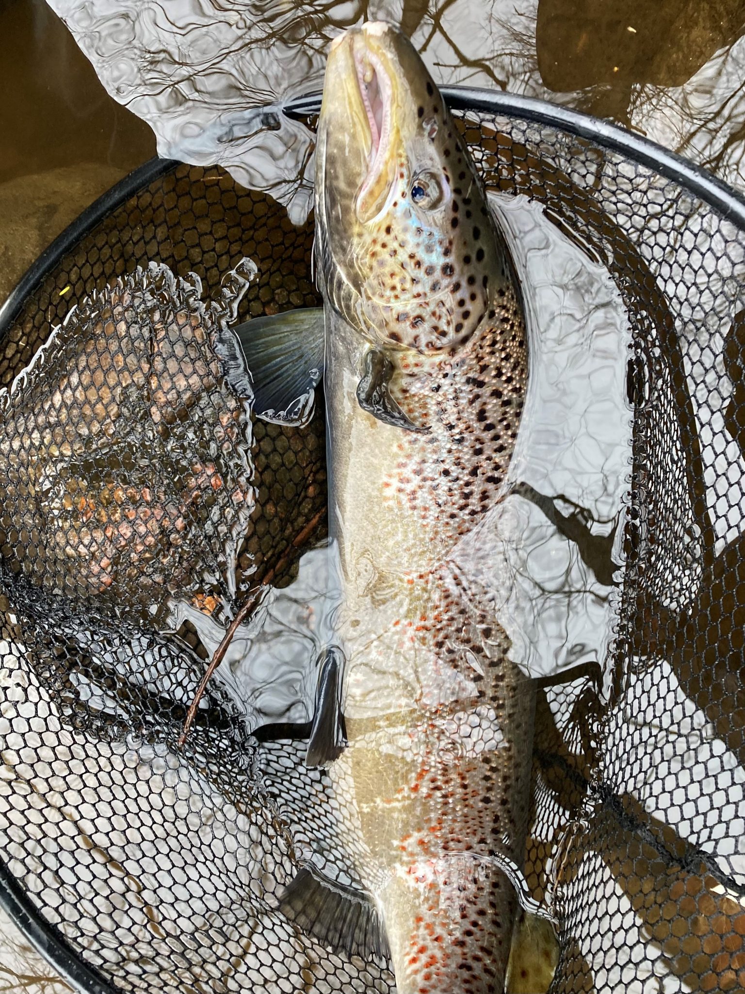 Connecticut Fishing Report - December 30, 2021 - On The Water