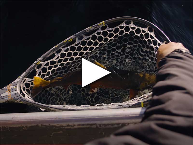 Video of the Week: The Search for Blueback Trout in Maine - On The Water