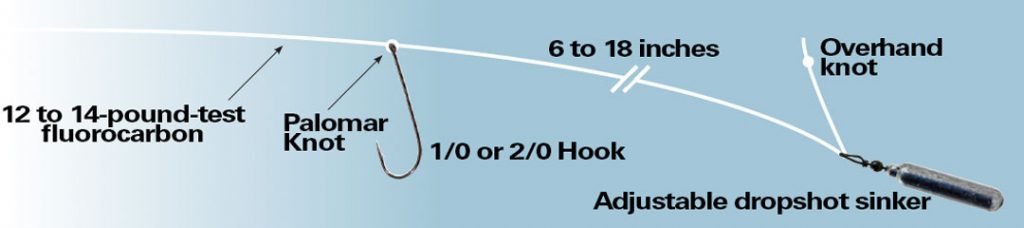 Two Must-Use Rigs for Winter Bass Fishing - On The Water