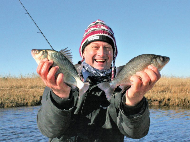 Catch White Perch All Winter in New Jersey - On The Water
