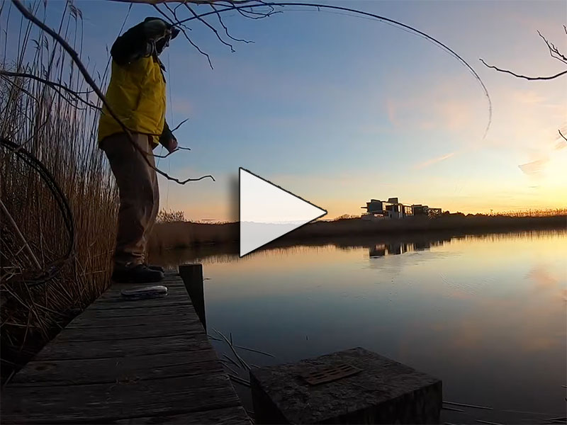 Video of the Week: Big Wintertime White Perch - On The Water