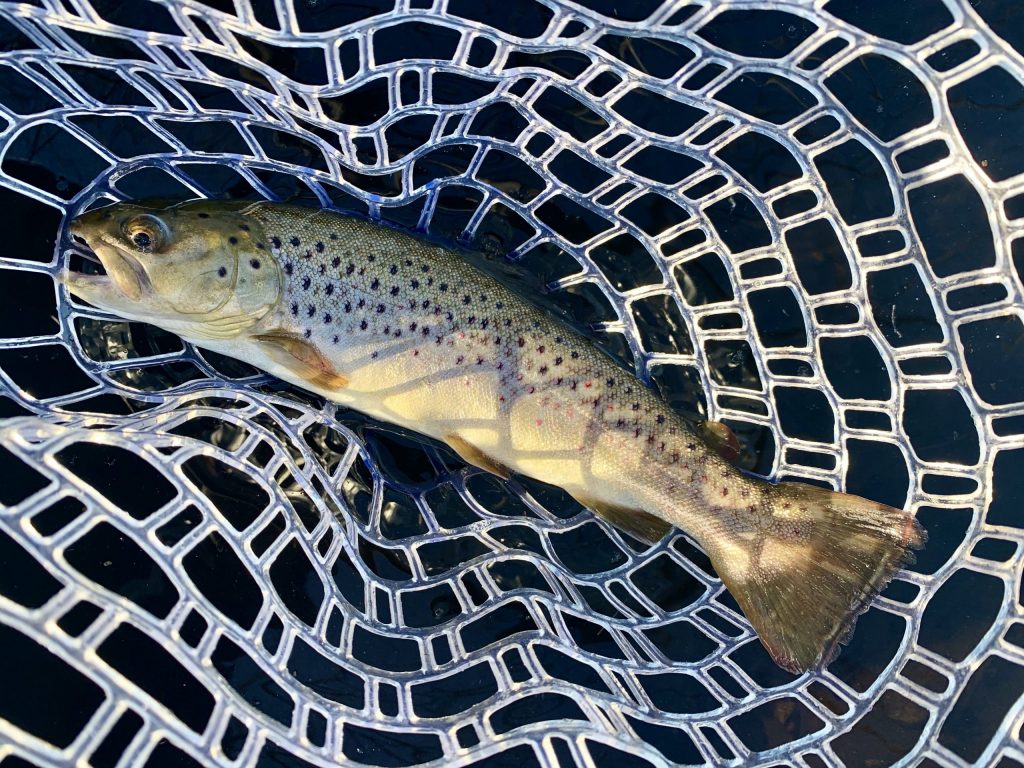 Rhode Island Fishing Reports