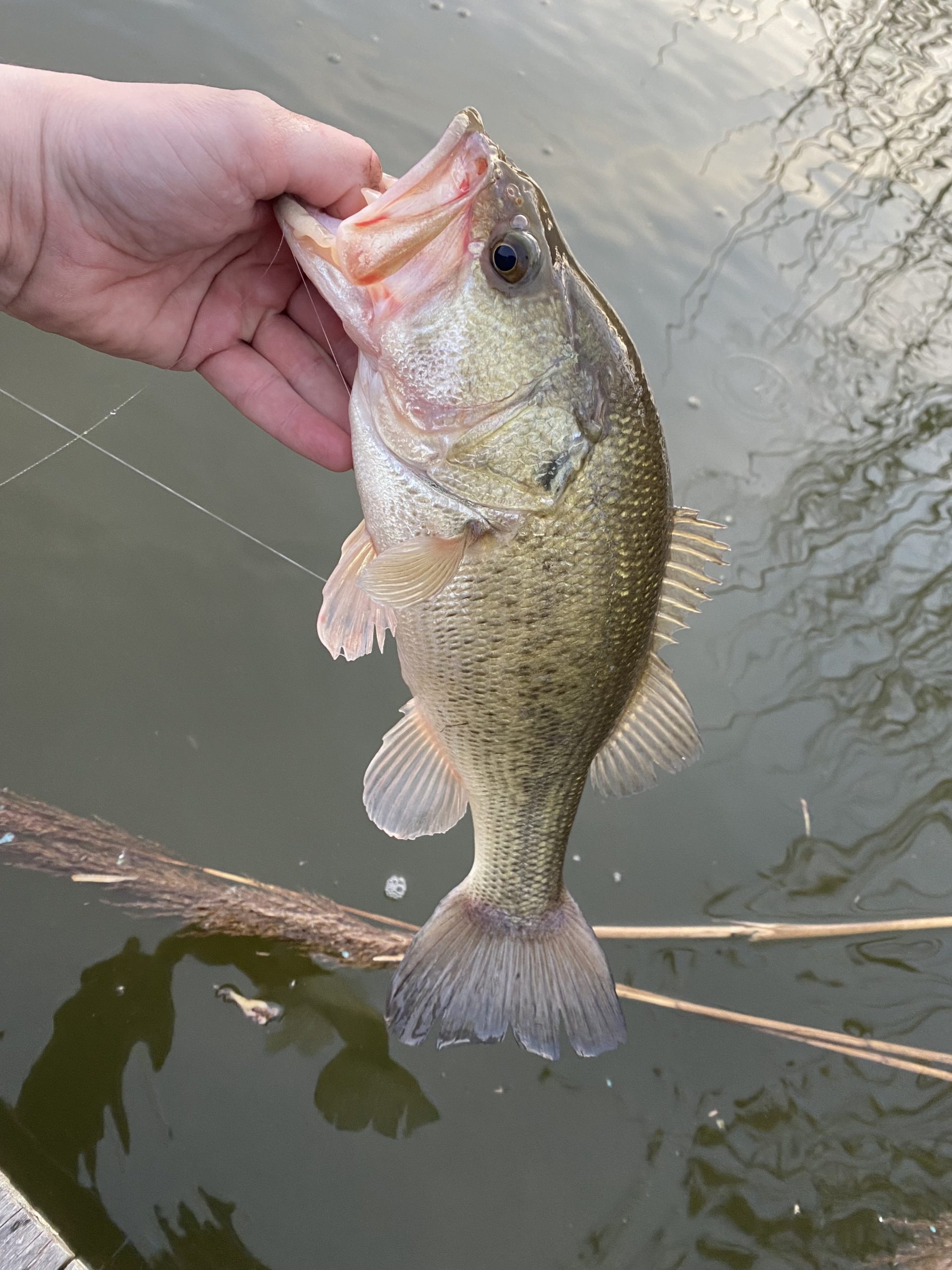 Long Island Fishing Report- March 10, 2022 - On The Water