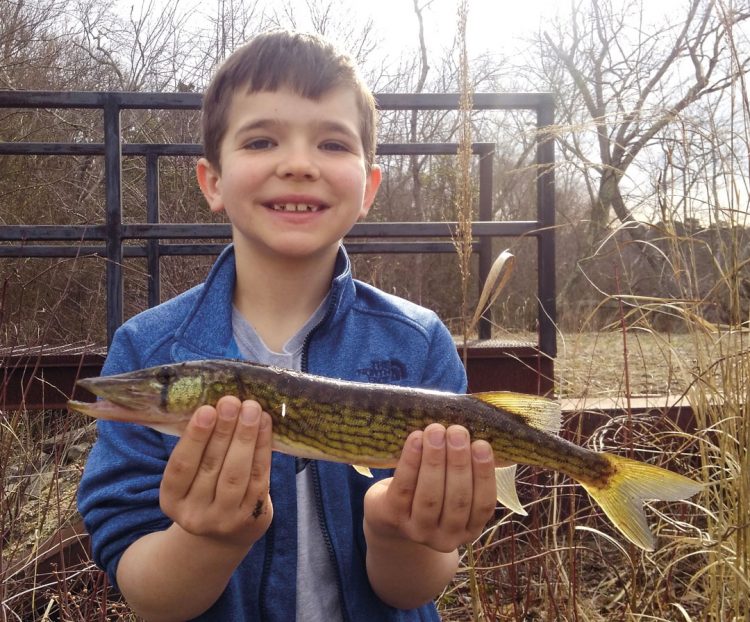 Pine Barrens Pickerel - On The Water