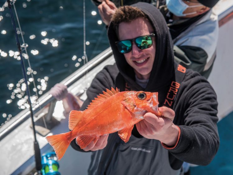 Acadian Reds - On The Water