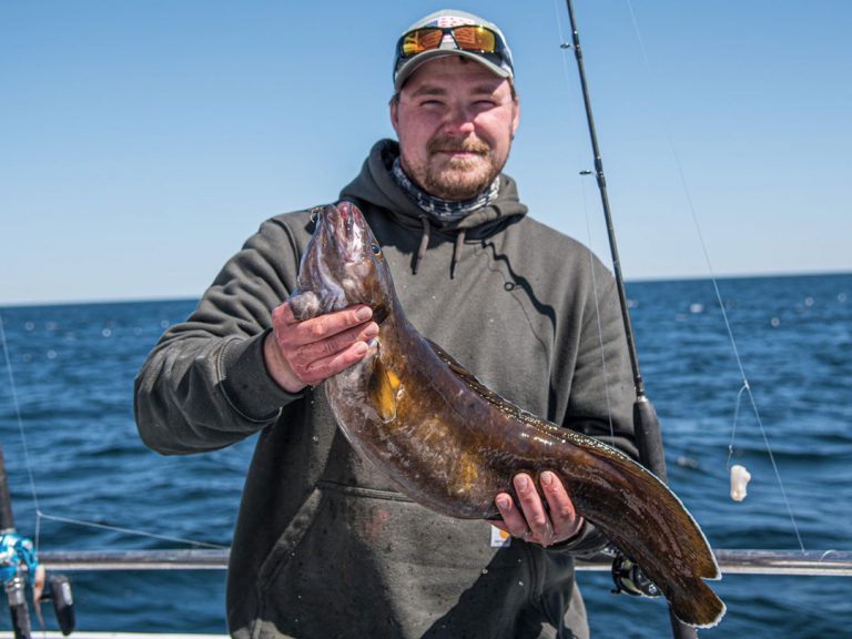 Acadian Reds - On The Water