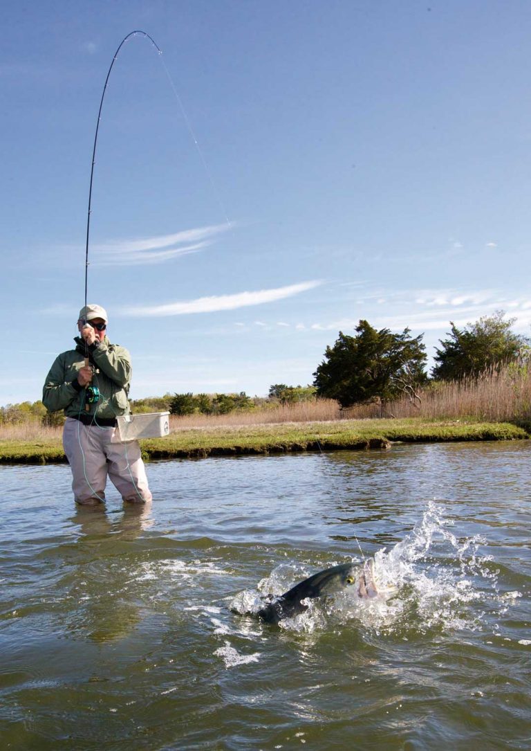Fishing the Bay - On The Water