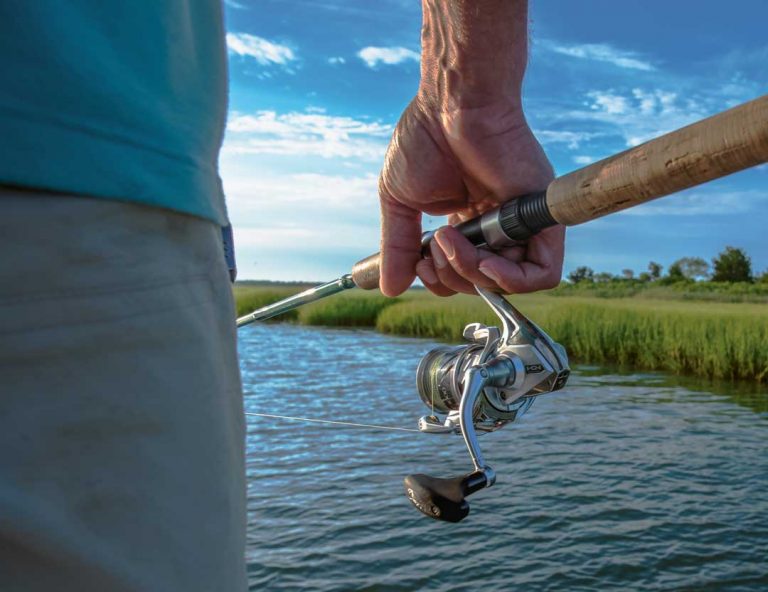 Topwater Tips for Backwater Stripers - On The Water