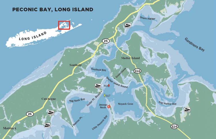 Platter-Sized Porgies in Peconic Bay - On The Water