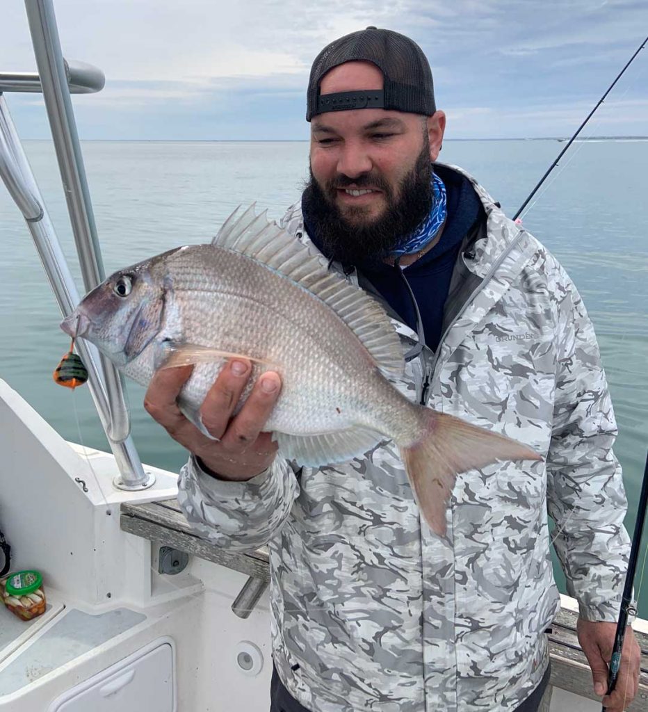 Platter-Sized Porgies in Peconic Bay - On The Water