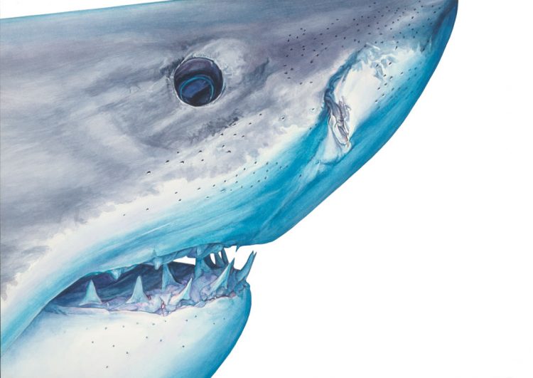 Angling Artists: Edgar Stewart - On The Water