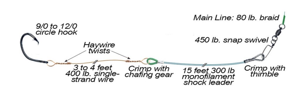 Spinning Gear Sharks - On The Water