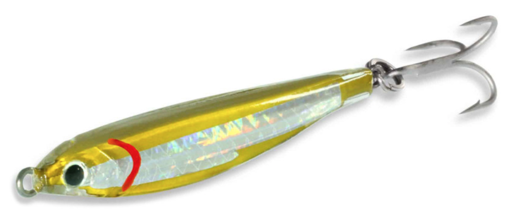 Catching Spanish Mackerel from Shore - On The Water