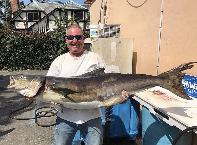 Long Island's Unofficial Race for a 100-Pound Cobia - On The Water