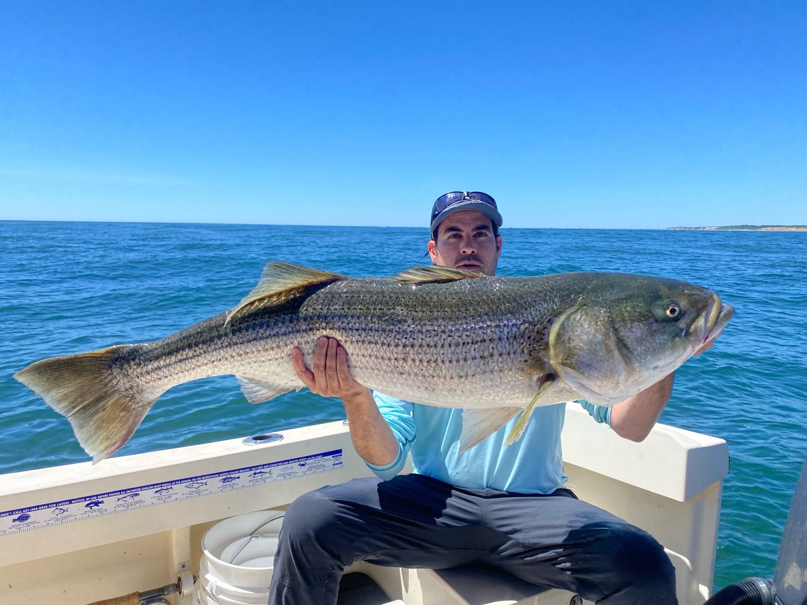 New York and Long Island Fishing Reports