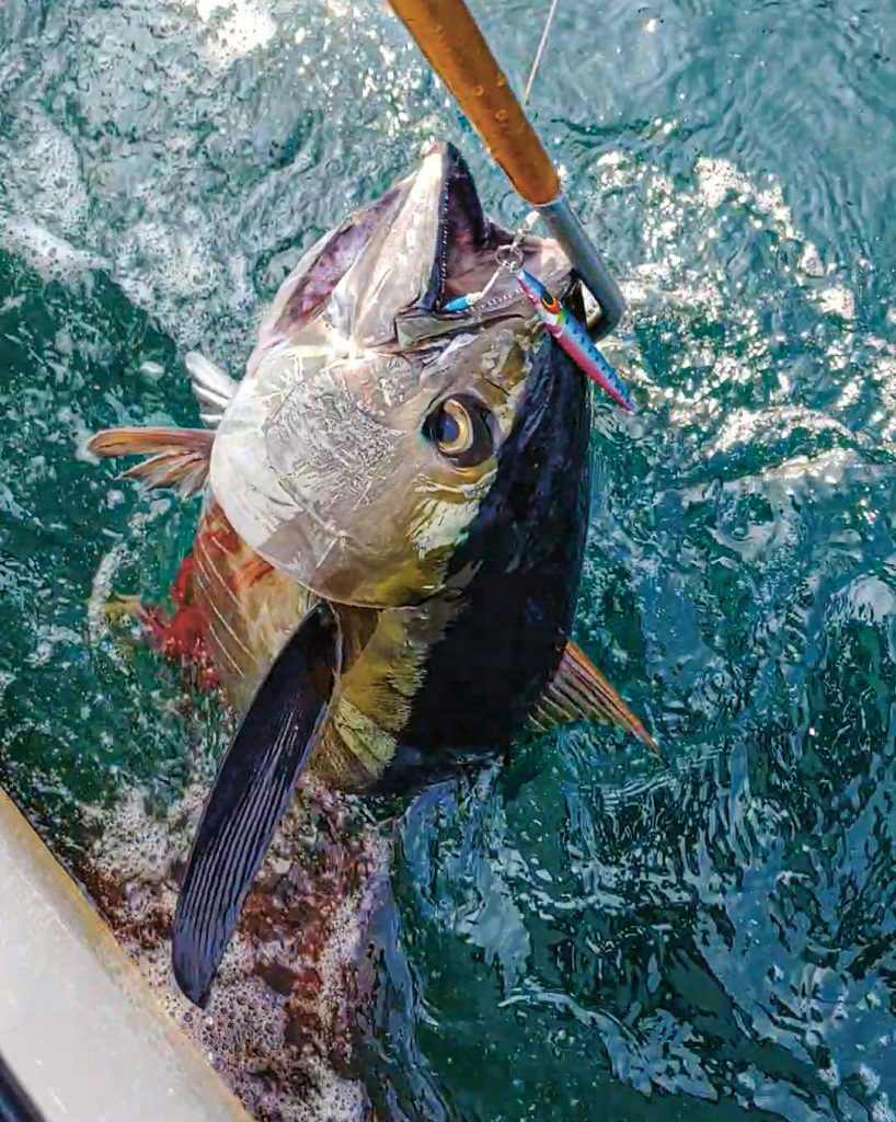 The Tuna End Game - On The Water