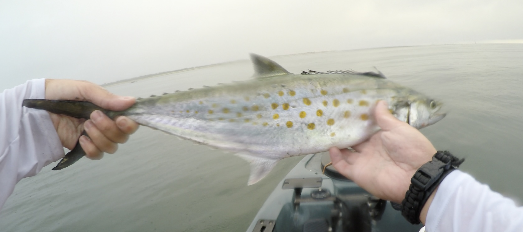 Cape Cod Fishing Report- August 25, 2022 - On The Water