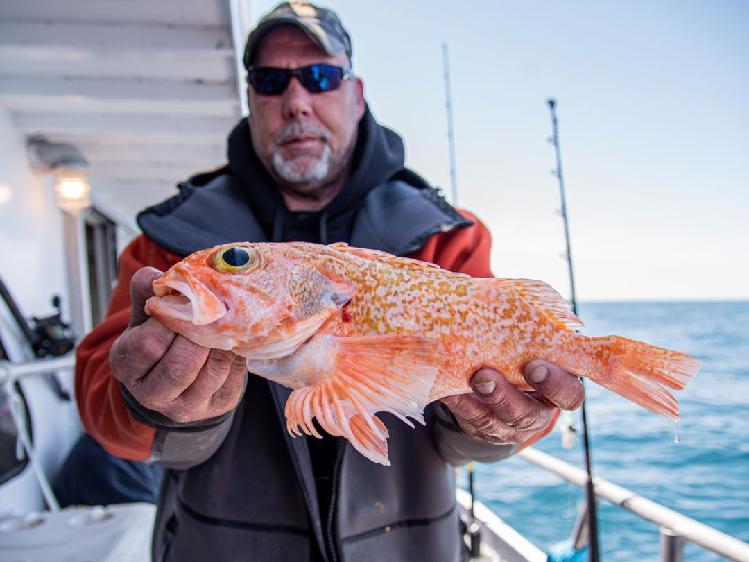 Secret Weapons of the Deep Drop - On The Water